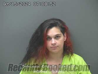 Recent Booking / Mugshot for JESSICA LYNN THOMAS in Daviess County, Indiana