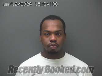 Recent Booking / Mugshot for BRIAN LOUIS MARTINEZ PERRY in Daviess ...