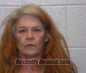 DEBRA JACKSON HIRSCH Arrest Record & Booking Info – Henderson County ...