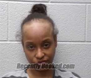 Recent Booking / Mugshot for BRITTANY JANAY ROBINSON in Henderson County, North Carolina