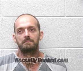 Recent Booking / Mugshot for RONNIE WILLIAM MCCRAW in Henderson County ...