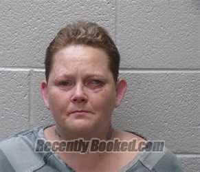 Recent Booking / Mugshot for JESSICA HOPE HENSLEY in Henderson County ...