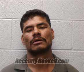 Recent Booking / Mugshot for NICHOLAS HERRERA GUIDO in Henderson County ...