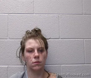 Savannah Marie Morgan Arrest & Booking Info | Henderson County, NC