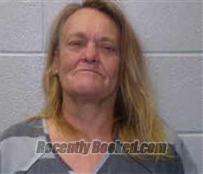 Recent Booking / Mugshot for JOANN LYNN CULVER in Henderson County ...