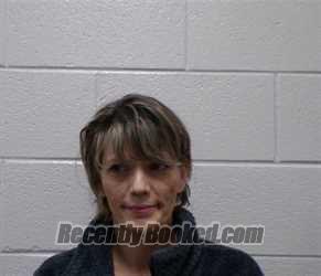 Recent Booking / Mugshot for JENNIFER MOFFIT in Henderson County, North ...