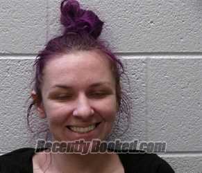 Recent Booking / Mugshot for AMY NICOLE BADGER in Henderson County ...