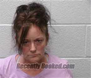 Recent Booking / Mugshot for CHANDA LYNN VANDERNICK in Henderson County ...