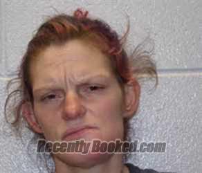Recent Booking / Mugshot for LISA MARIE PURDY in Henderson County ...