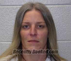 Recent Booking / Mugshot for STEFANIE CARSON in Henderson County, North ...