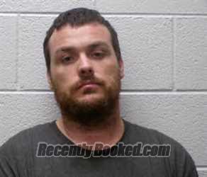 Recent Booking / Mugshot for SHAWN ANDREW TENNEY in Henderson County ...