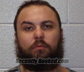 Recent Booking / Mugshot for BRANDON CASTRO-PRUETT in Henderson County ...