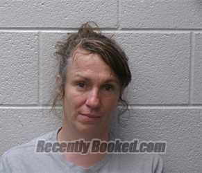 Recent Booking / Mugshot for STEPHANIE RAE HEATON in Henderson County ...