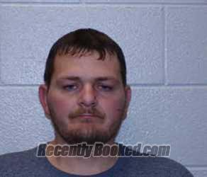 Recent Booking / Mugshot for JACKSON LAYNE INGRAM in Henderson County ...