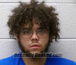 Recent Booking / Mugshot for ANTHONY VOGEL DEVIN in Henderson County ...