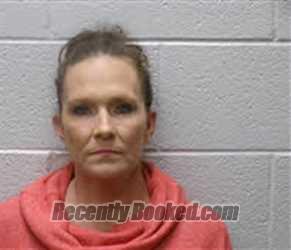 Recent Booking / Mugshot for MANDY BRACKEN STEVENS in Henderson County ...