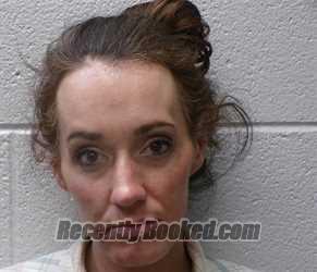 Recent Booking / Mugshot for ALICIA LYNN PENK in Henderson County, North Carolina