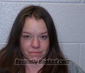 Recent Booking / Mugshot for AMANDA NICOLE HUNT in Henderson County ...
