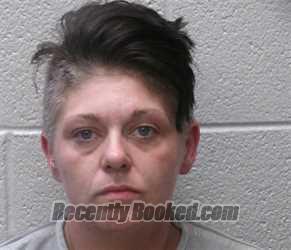Recent Booking / Mugshot for SARAH LYNETTE WILLIAMS in Henderson County ...
