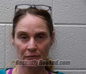 Recent Booking / Mugshot for TINA LYNN BUCKNER in Henderson County ...