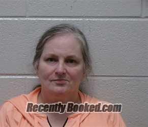 Recent Booking / Mugshot for LISA MARIE TAYLOR in Henderson County ...
