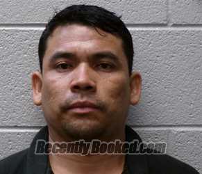Recent Booking / Mugshot for JAMIE MADRIGAL PONCE in Henderson County ...