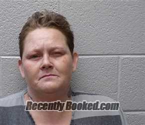 Recent Booking / Mugshot for JESSICA HOPE HENSLEY in Henderson County ...