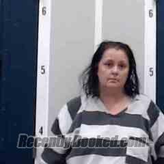 Recent Booking / Mugshot for AMANDA LLOYD in DeKalb County, Indiana