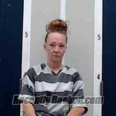 Recent Booking / Mugshot for STEPHANIE DAVIS in DeKalb County, Indiana