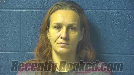 Recent Booking / Mugshot for HEATHER MICHELLE LEWIS in Dubois County ...