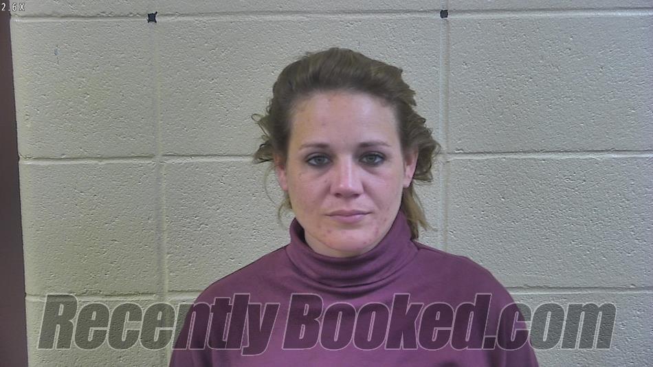 Recent Booking / Mugshot for ALISHA JOY LASHER in Dubois County, Indiana