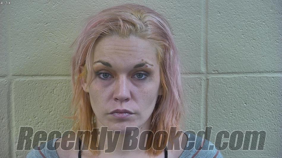 Recent Booking / Mugshot for EMILY MICHELLE BLANTON in Dubois County ...