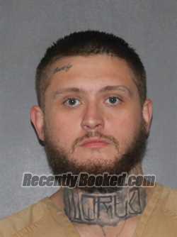 Recent Booking / Mugshot for Clayton Michael Reed in Elkhart County ...