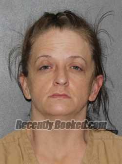 Recent Booking / Mugshot for Stephanie Ranee Kulchar in Elkhart County ...