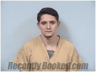 Recent Booking / Mugshot for Nicholas Anthony Hicks in Elkhart County ...