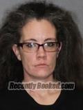 Recent Booking / Mugshot for Emily Cook in Elkhart County, Indiana