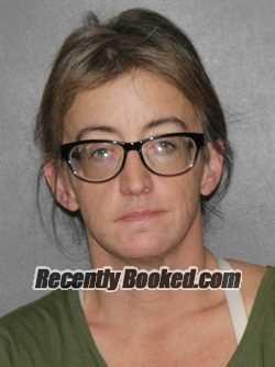 Recent Booking / Mugshot for Jennifer A Biddle in Elkhart County, Indiana