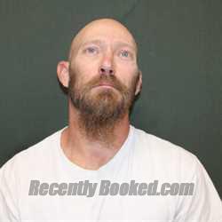 Recent Booking / Mugshot for DENNIS G SHULTZ in Fountain County, Indiana