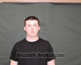 Recent Booking / Mugshot for DAVID E FREEMAN in Fountain County, Indiana
