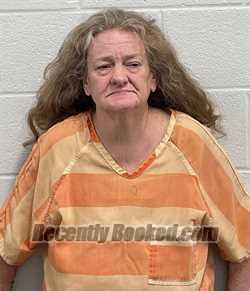 Recent Booking / Mugshot for TRACY K RISNER in Fulton County, Indiana