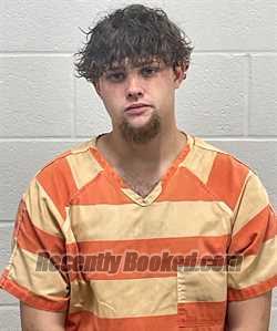 Recent Booking / Mugshot for DUSTIN JAMES MCCARTY in Fulton County, Indiana