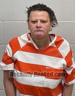 Recent Booking / Mugshot for TARA L PURVIS in Fulton County, Indiana