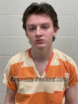 Recent Booking / Mugshot for ANDREW LANE TYLER in Fulton County, Indiana