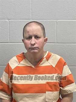 Recent Booking / Mugshot for JENNIFER LYNN SLONE in Fulton County, Indiana