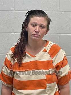 Recent Booking / Mugshot for NICOLE LIN BOARDMAN in Fulton County, Indiana