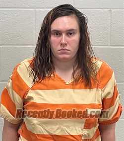 Recent Booking / Mugshot for AALIYAH NICHOLE HAYNES in Fulton County ...