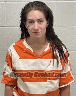 Recent Booking / Mugshot for JESSICA LYNN ROBIN in Fulton County, Indiana