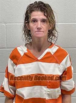 Recent Booking / Mugshot for LISA A CASTLEMAN in Fulton County, Indiana