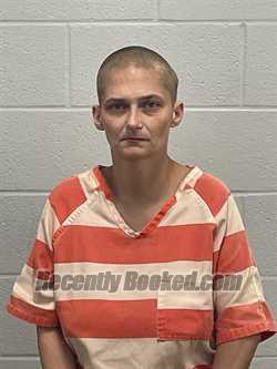 Recent Booking / Mugshot for RACHEL D KINLEY in Fulton County, Indiana