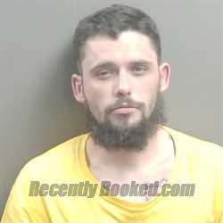 Recent Booking / Mugshot for Shane McGhee in Grant County, Indiana